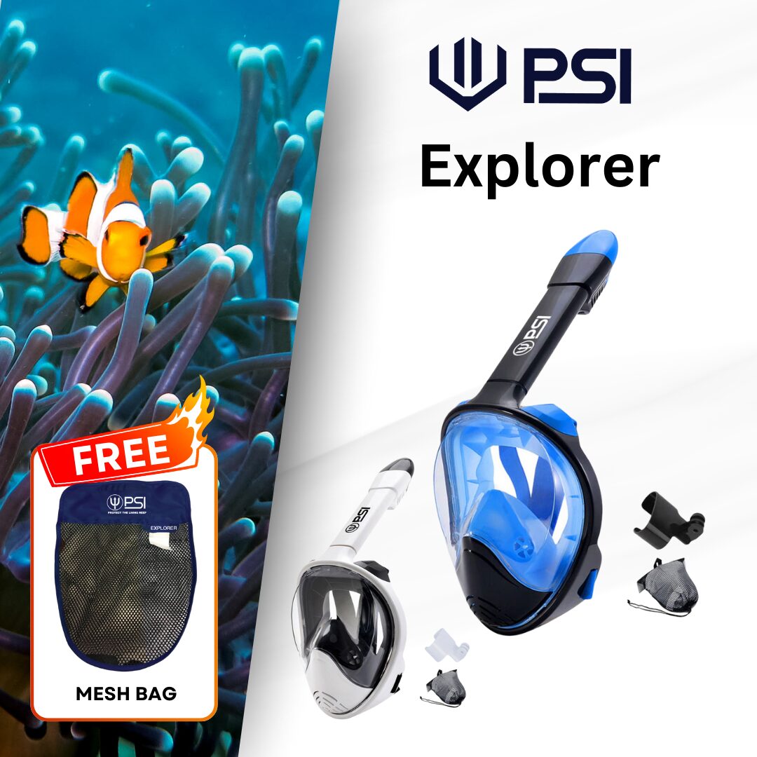PSI Explorer Snorkeling Full Face Mask | Aquamaster