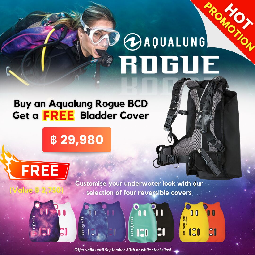 Aqualung Rogue BCD | Buoyancy Compensator | Aquamaster